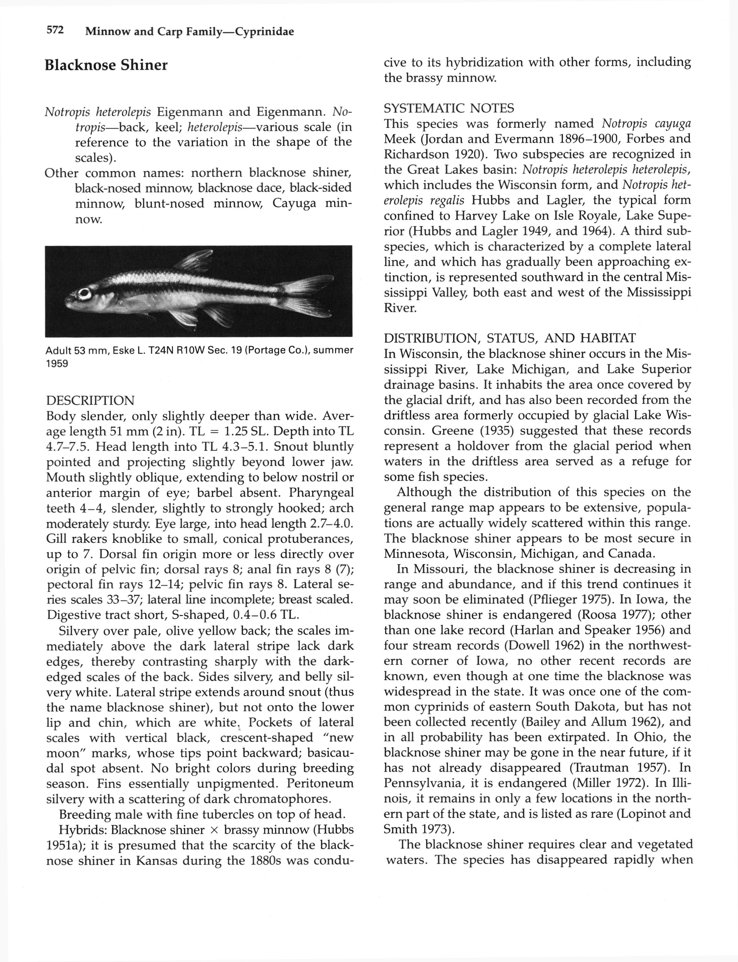 Fishes of Wisconsin - Full view - UWDC - UW-Madison Libraries