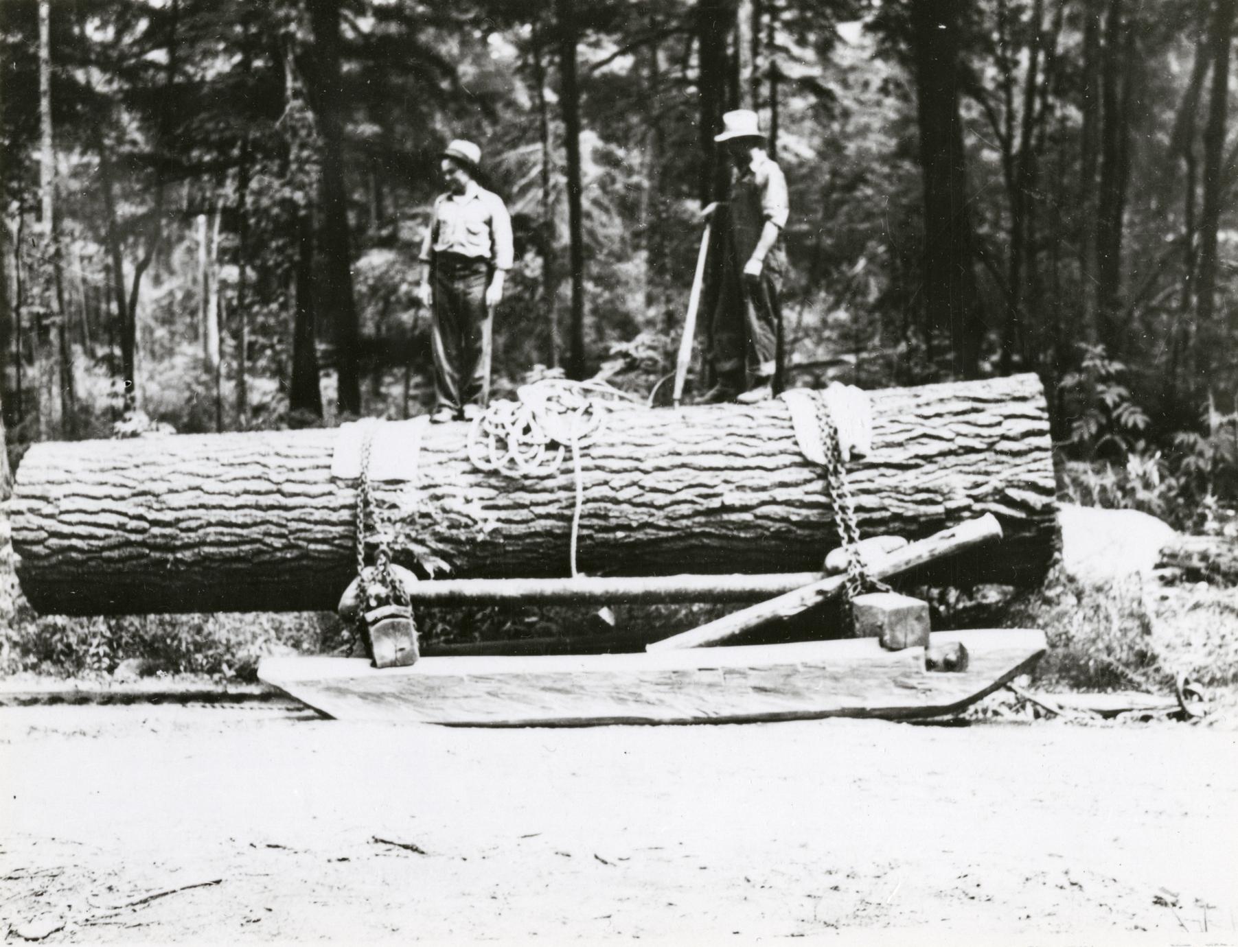‎Logging operation - UWDC - UW-Madison Libraries