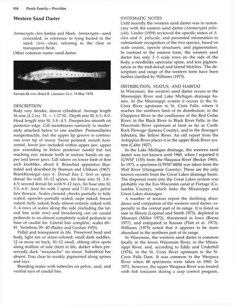 Fishes of Wisconsin - Full view - UWDC - UW-Madison Libraries