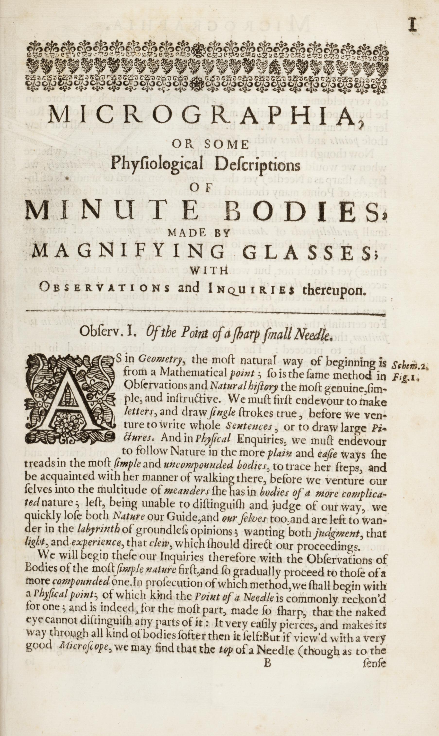 Micrographia : or some physiological descriptions of minute bodies made ...