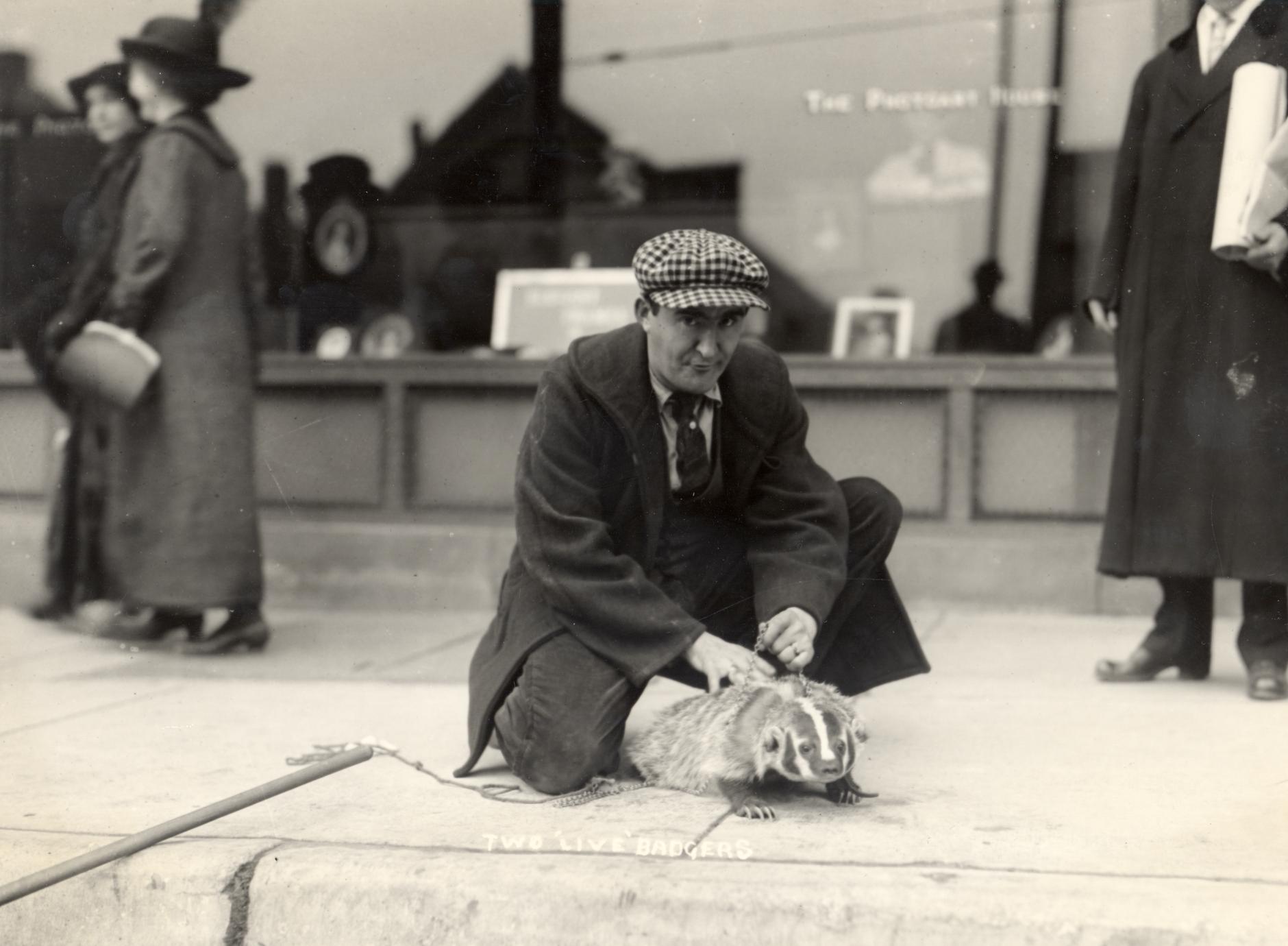 ‎Man with badger - UWDC - UW-Madison Libraries