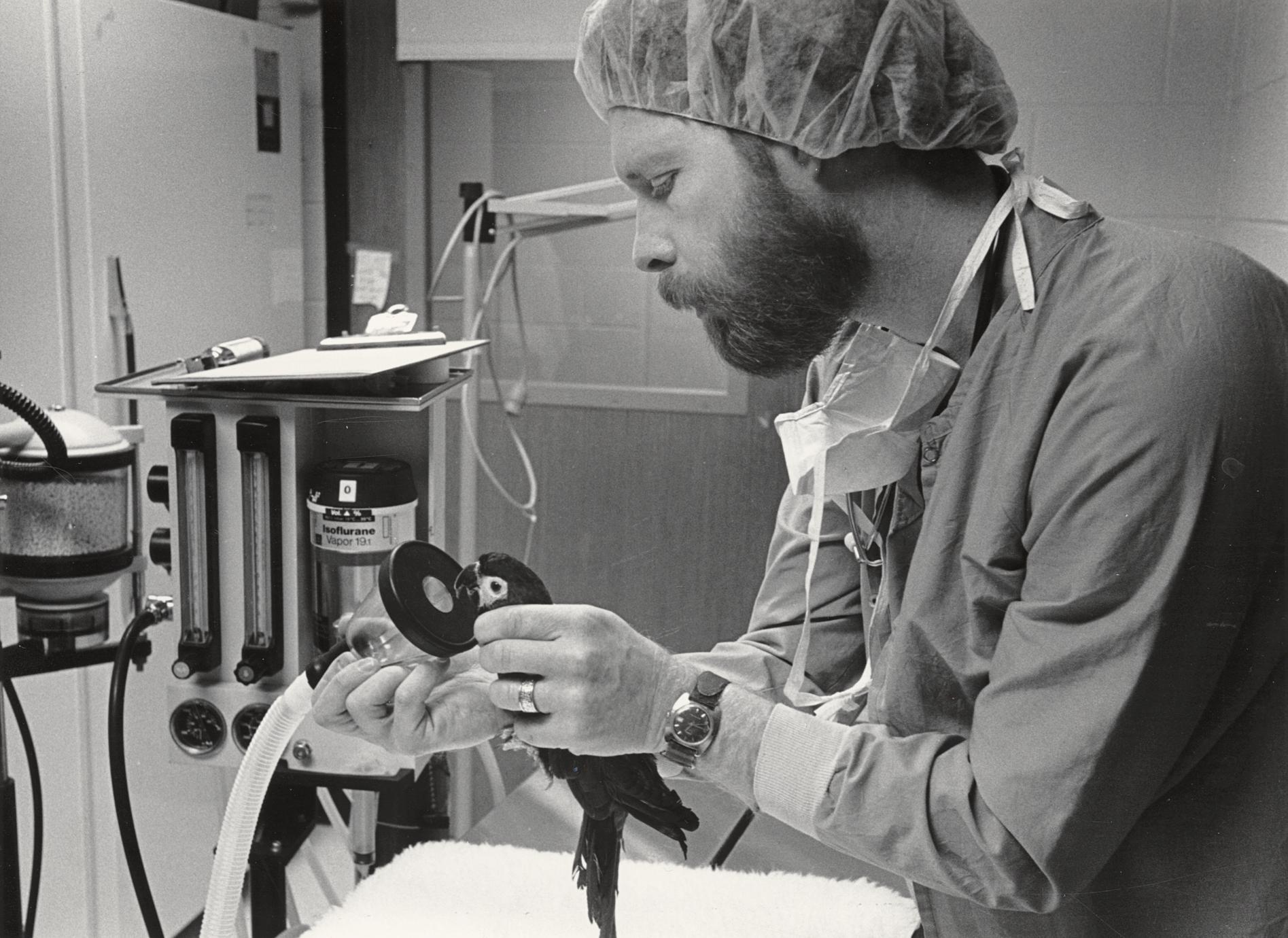 ‎Dr. David Brunson, veterinary medicine - UWDC - UW-Madison Libraries