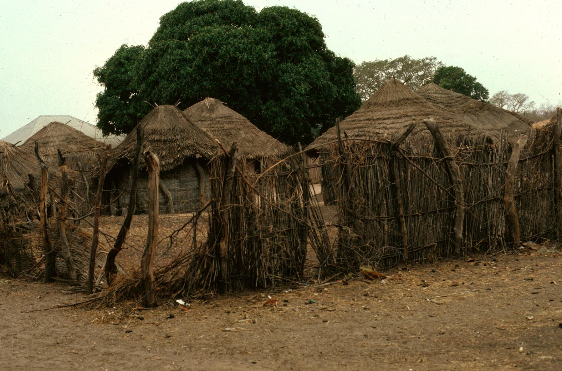 ‎Village Dwellings and Fences - UWDC - UW-Madison Libraries