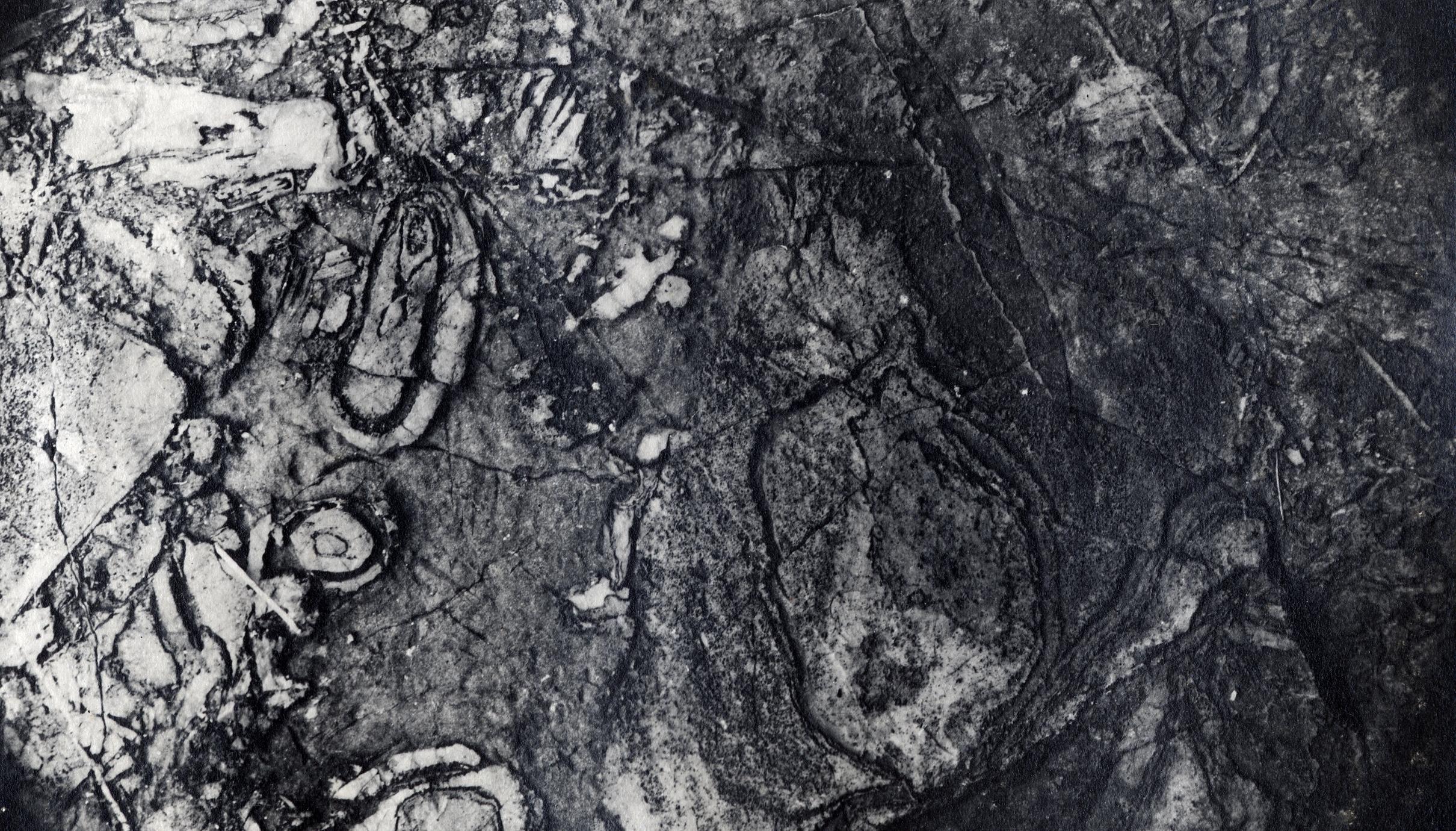 ‎Concretionary and brecciated chert near Saunders dam - UWDC - UW ...