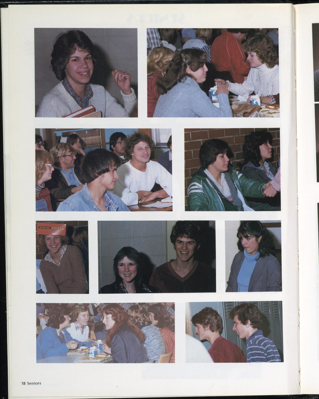 The Emerald: the Waterford Union High School annual 1981 - Full view ...