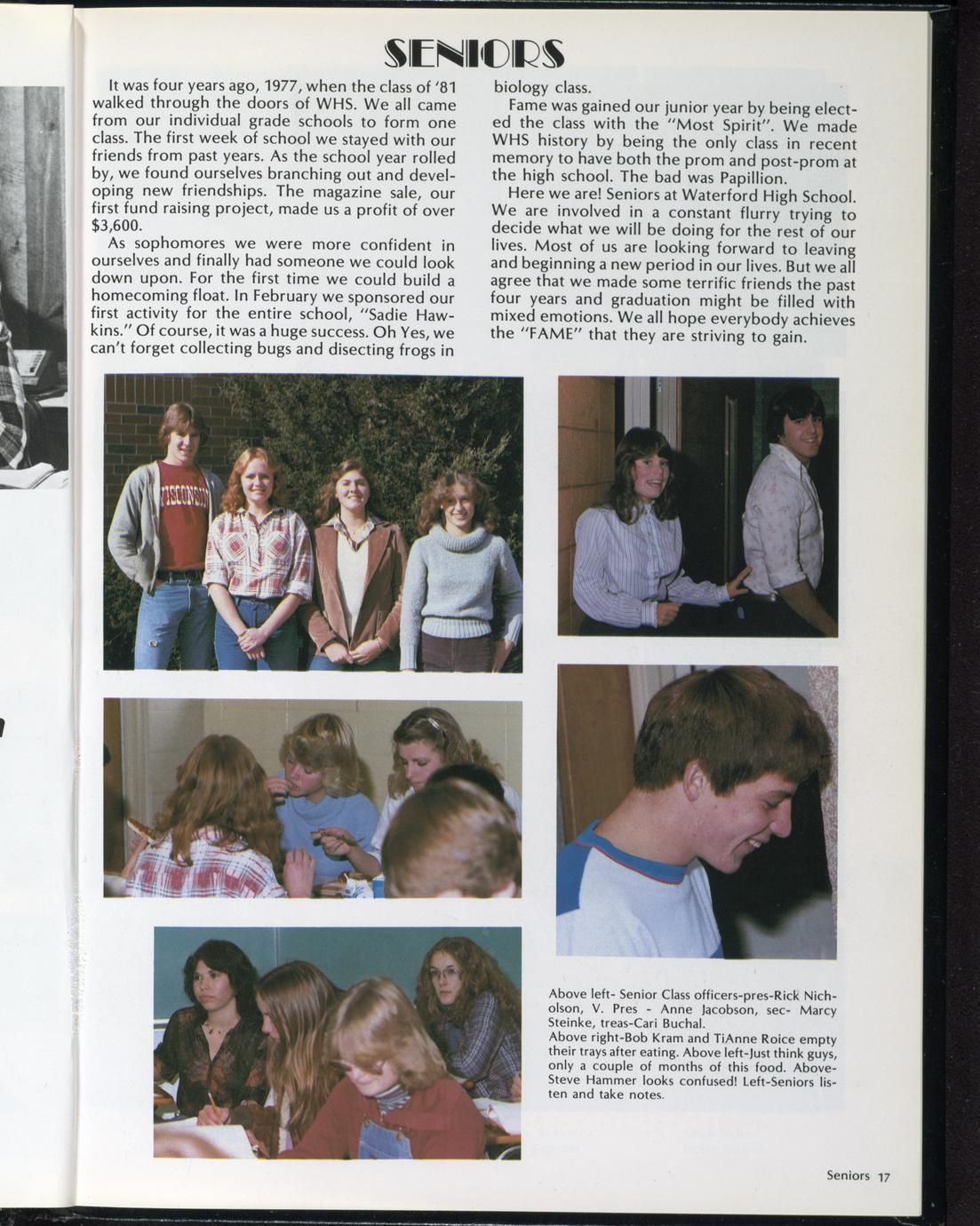 The Emerald: the Waterford Union High School annual 1981 - Full view ...