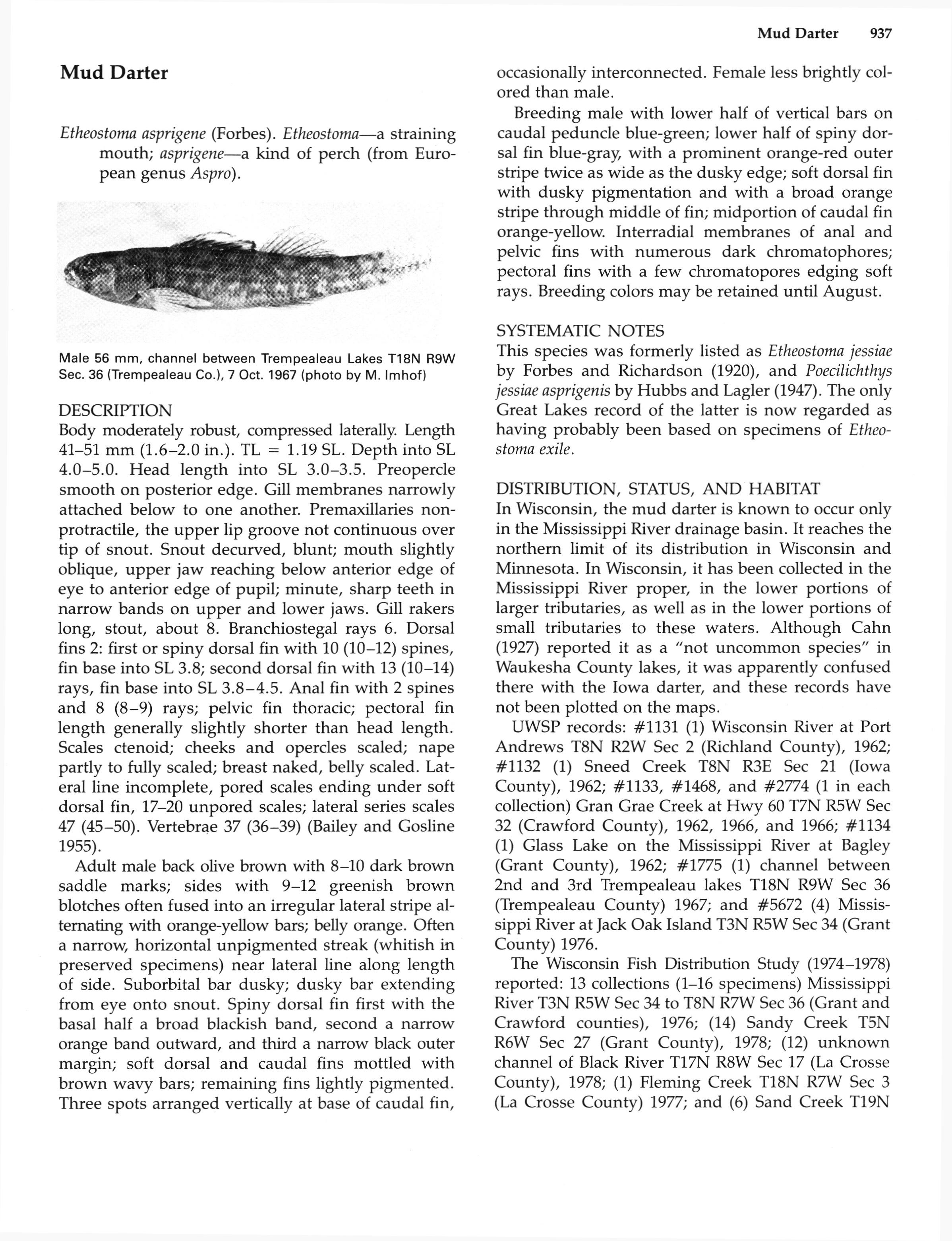Fishes of Wisconsin - Full view - UWDC - UW-Madison Libraries