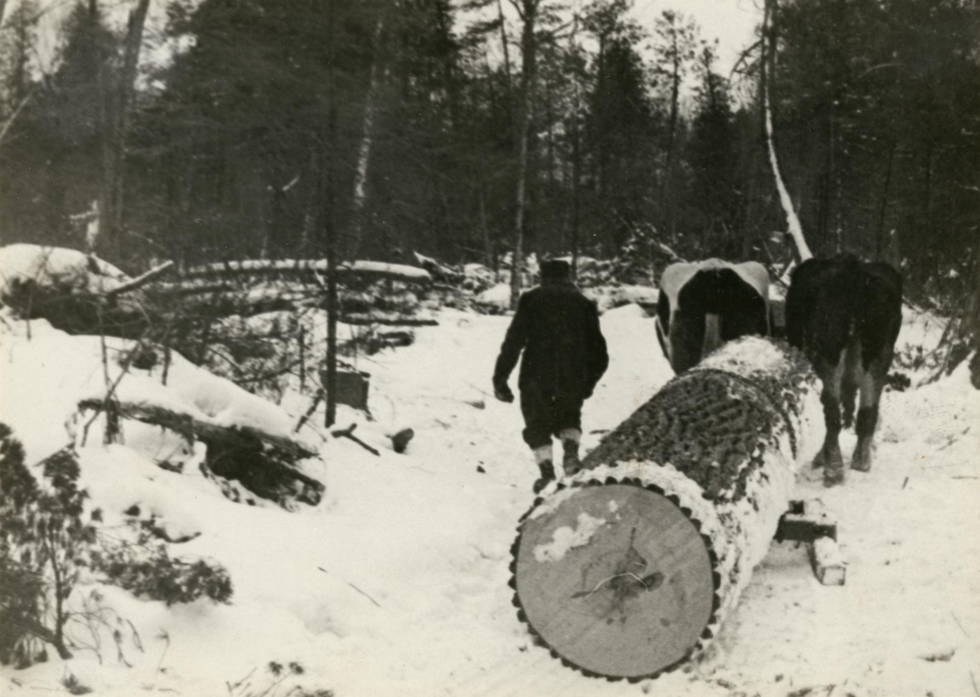 ‎Logging operation - UWDC - UW-Madison Libraries