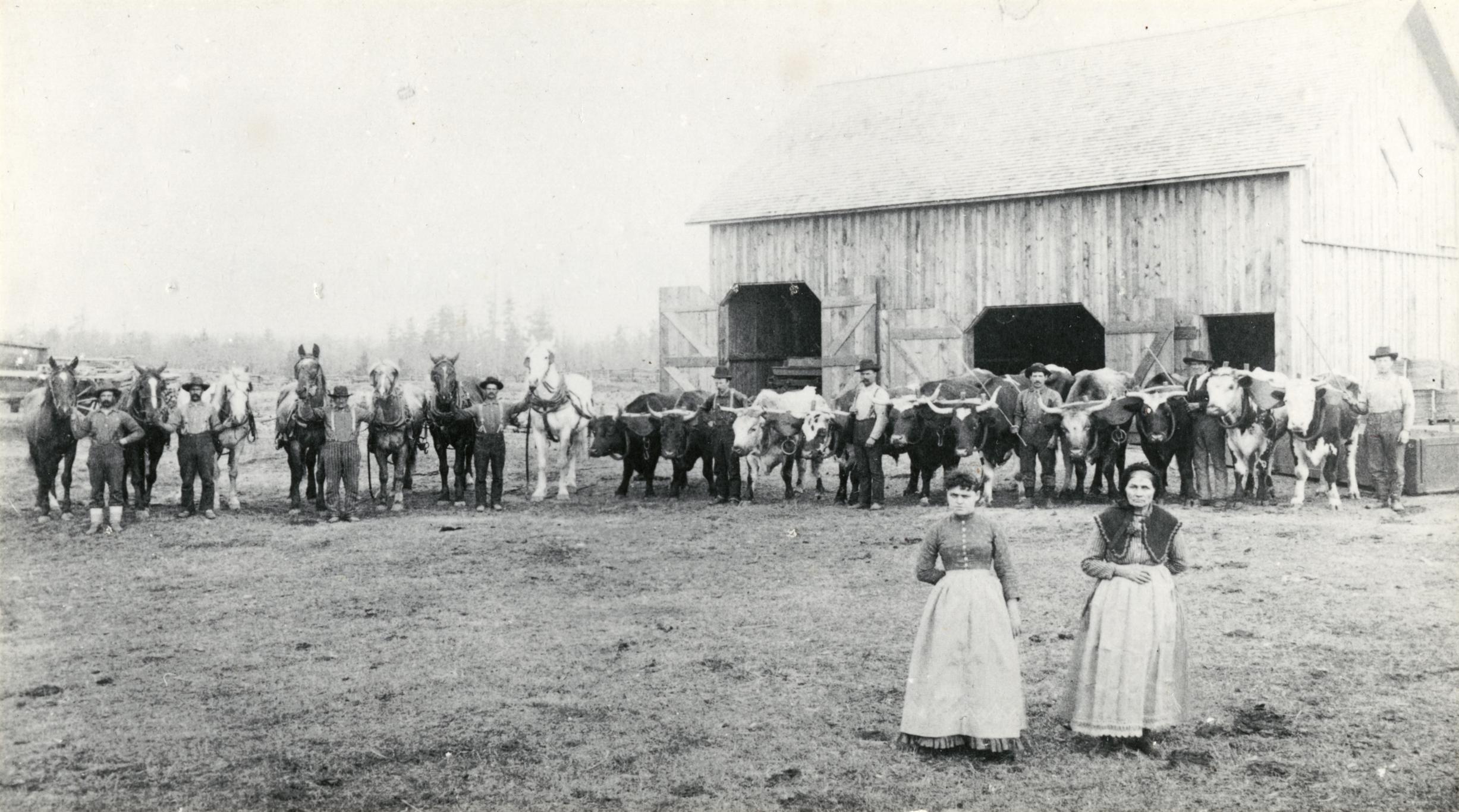 ‎Logging camp - UWDC - UW-Madison Libraries
