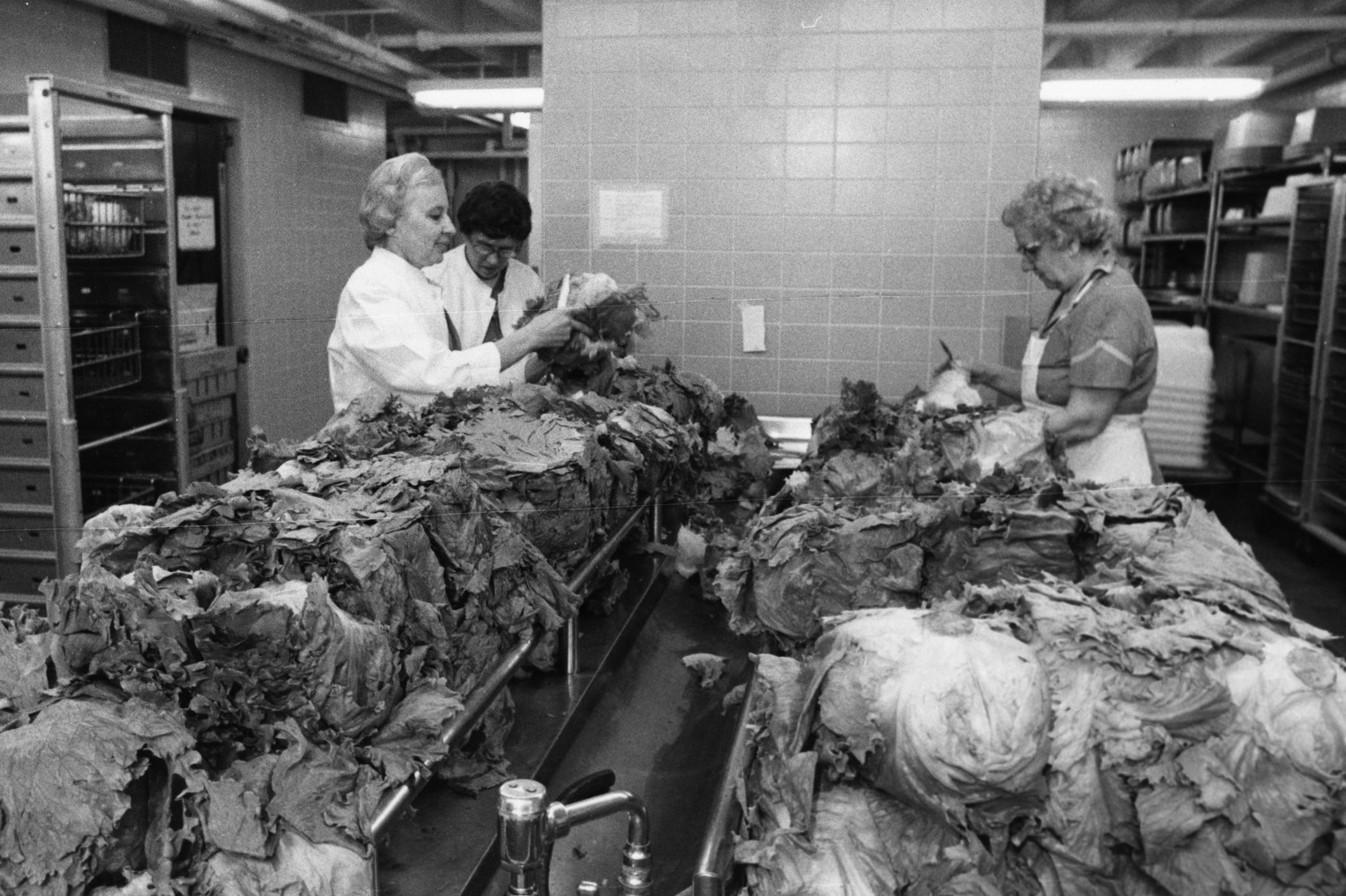 ‎Shredding lettuce, cafeteria kitchen - UWDC - UW-Madison Libraries