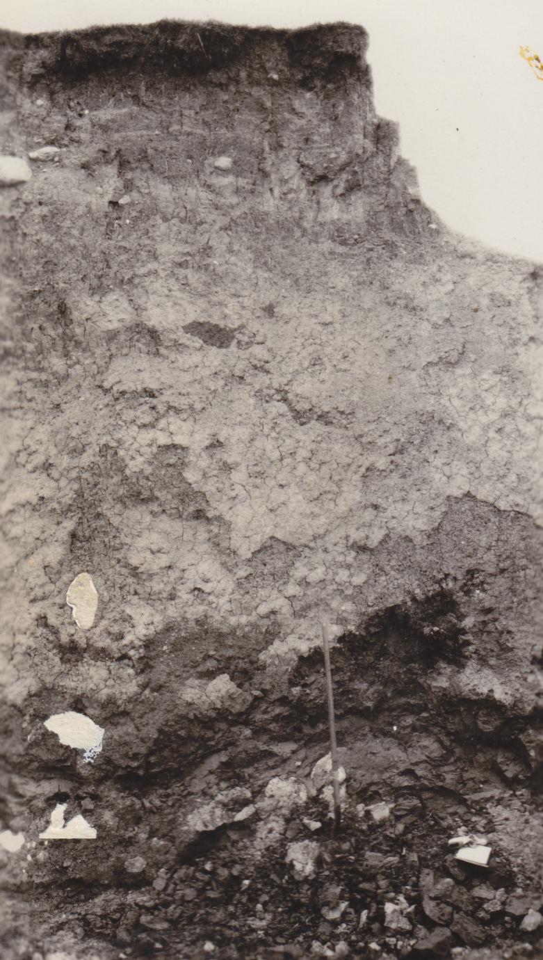 ‎Lake clay on red till - UWDC - UW-Madison Libraries