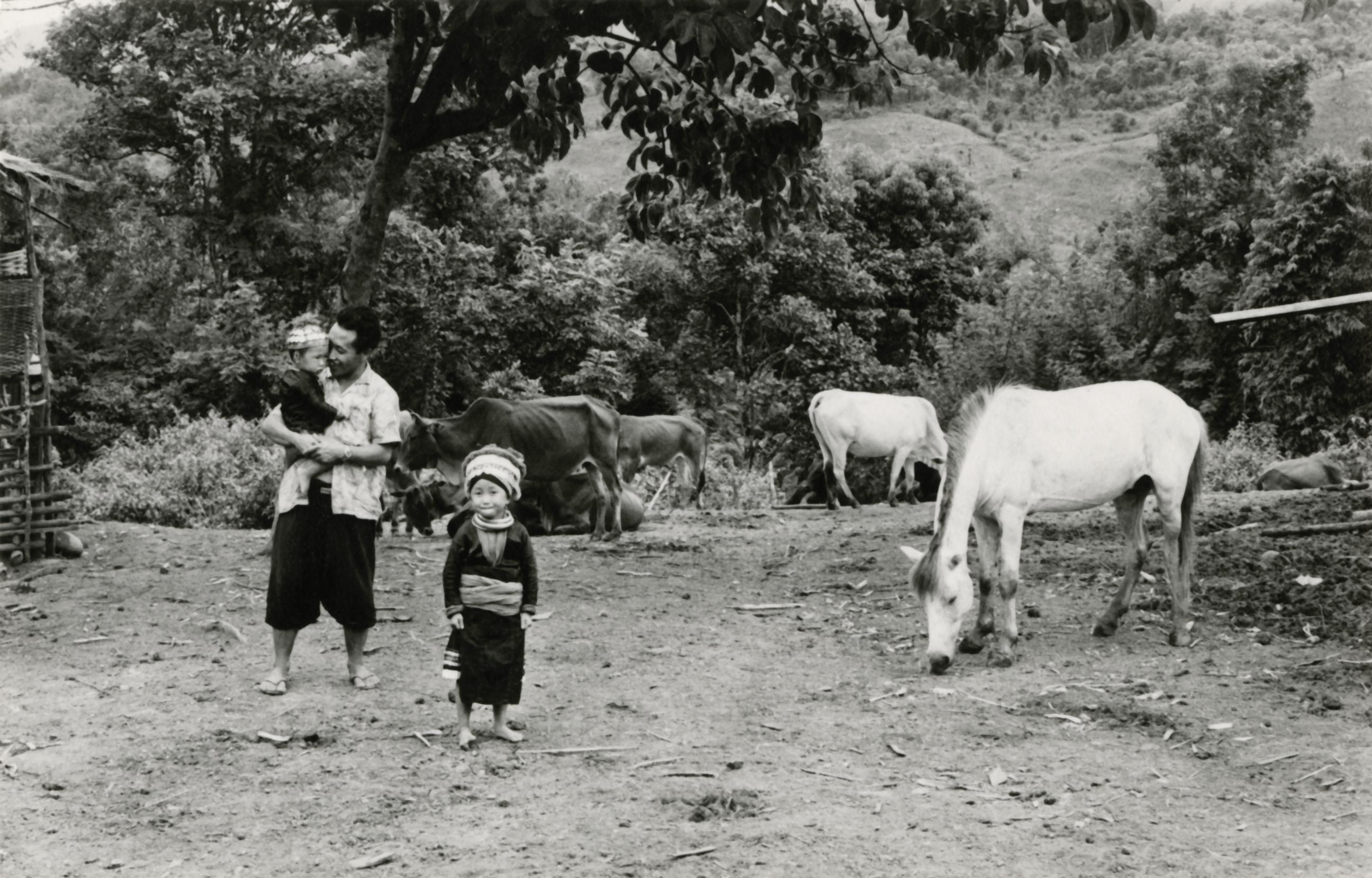 ‎Blue Hmong (Hmong Njua) father stands with his two children in a ...