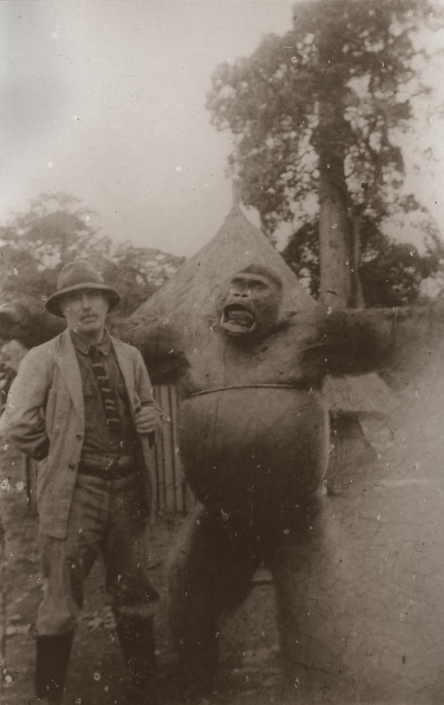 ‎Poached Gorilla Print - UWDC - UW-Madison Libraries