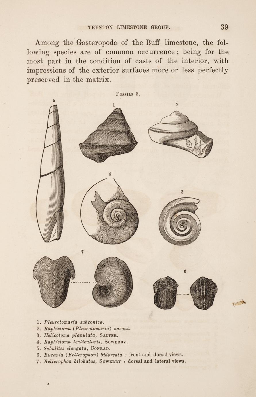 Report on the geological survey of Wisconsin - Full view - UWDC - UW ...
