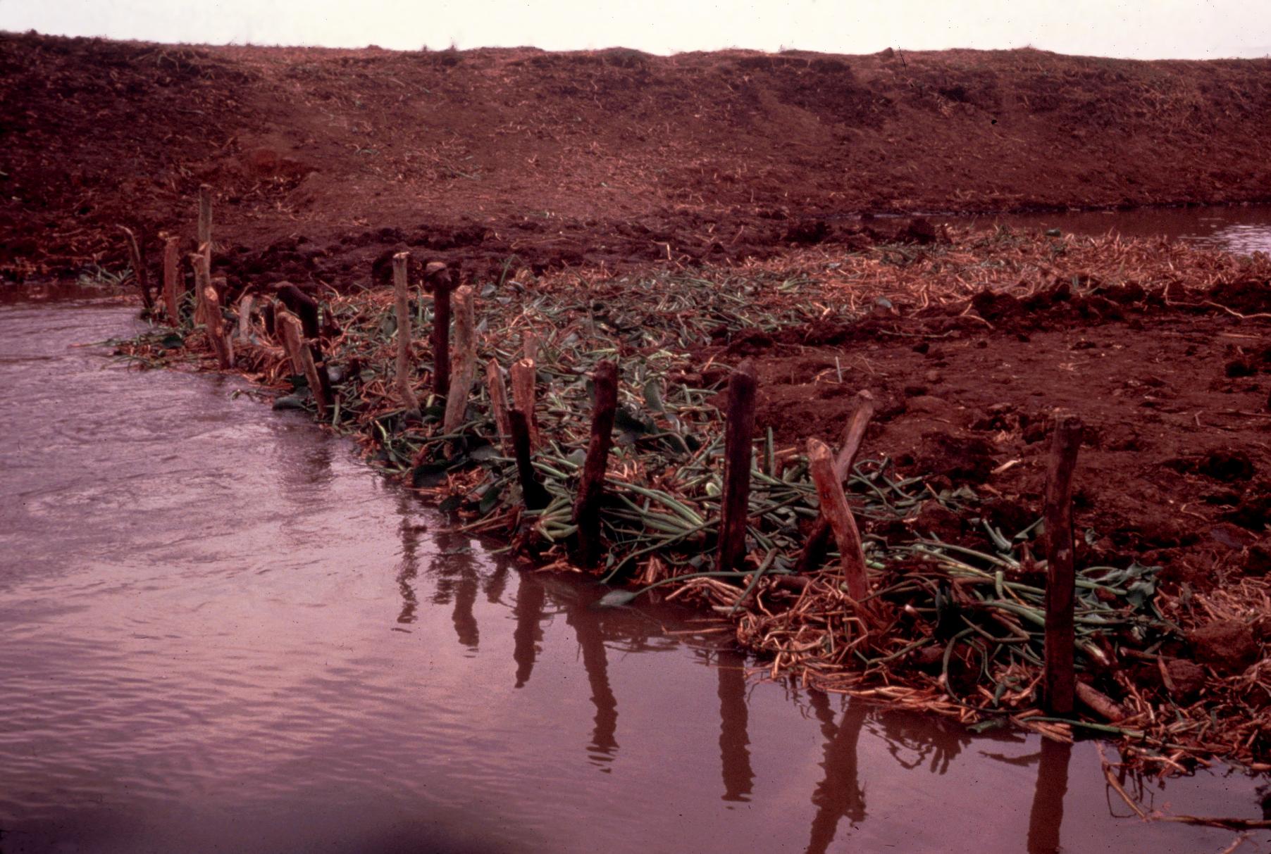 ‎Temporary Floating Bridge - UWDC - UW-Madison Libraries