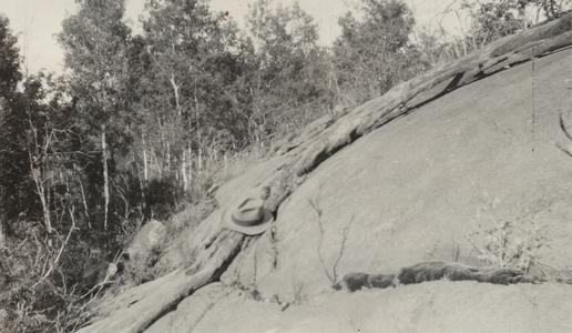 ‎Ecology and Natural Resources Collection - Collection - UWDC - UW ...