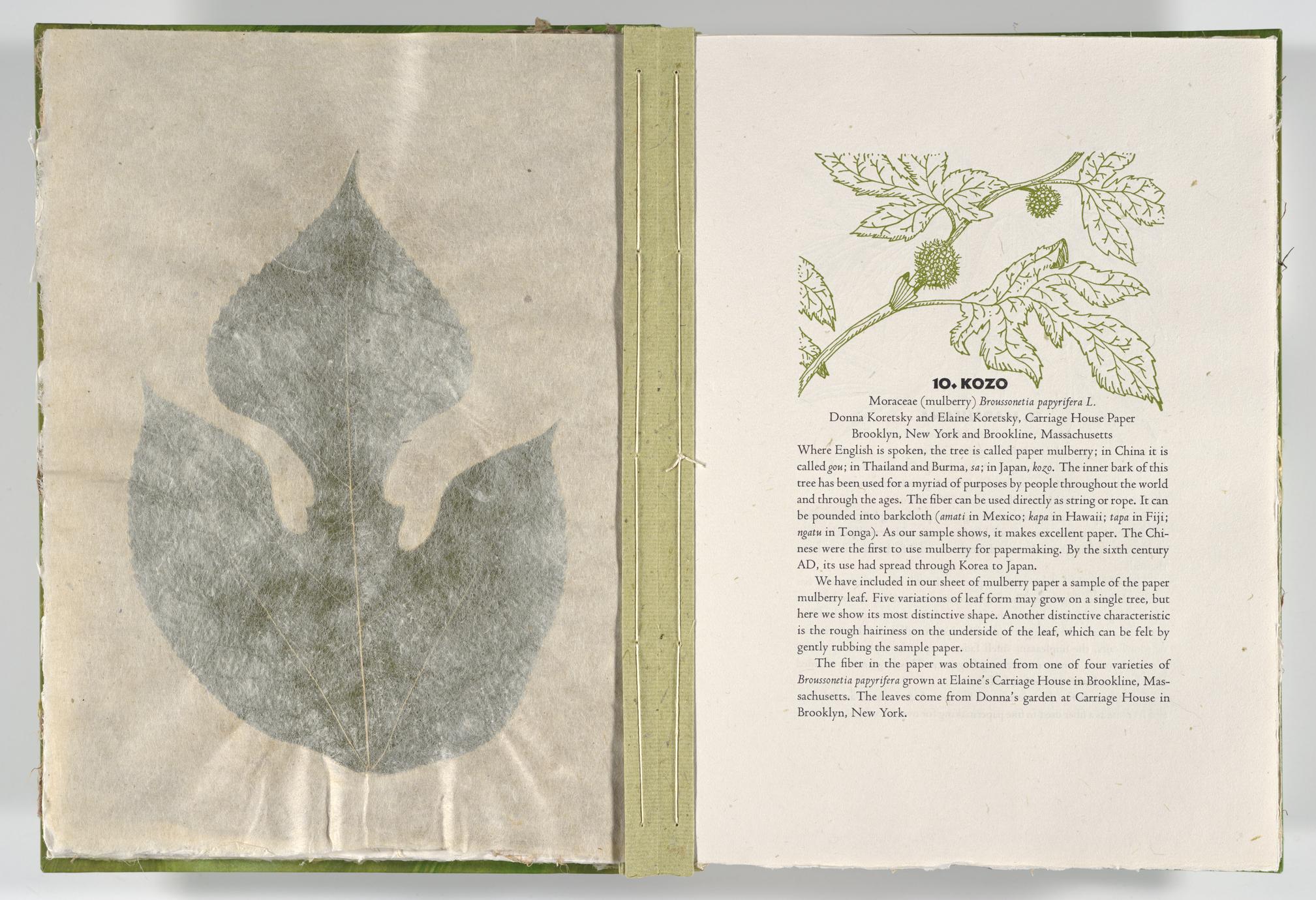 ‎Paper from plants (3 of 5) - UWDC - UW-Madison Libraries