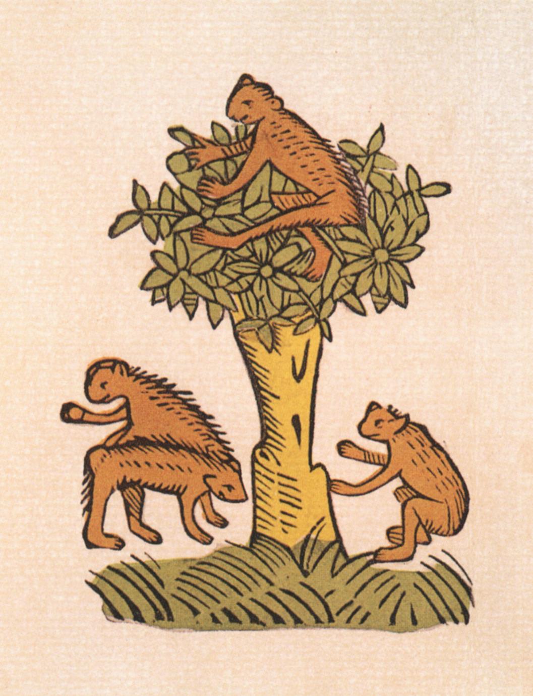 ‎Medieval natural history monkey - UWDC - UW-Madison Libraries