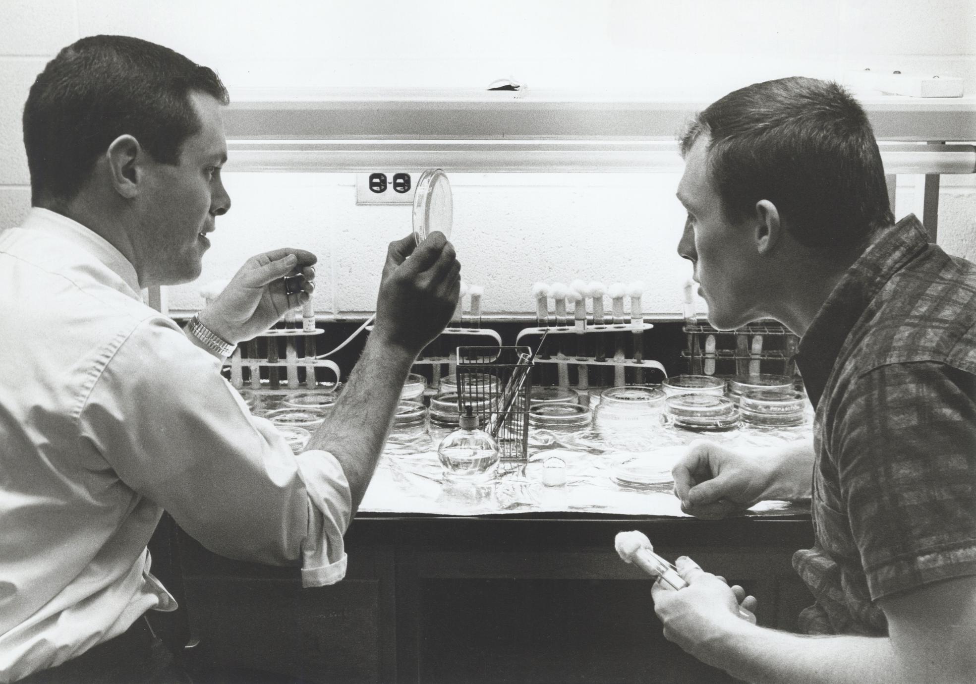 ‎Students work in a chemistry laboratory - UWDC - UW-Madison Libraries