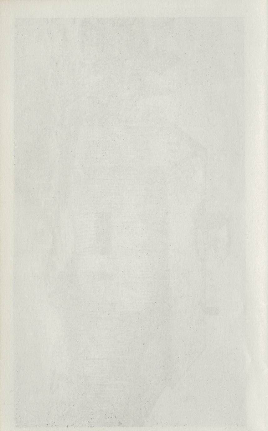 Panorama of progress : the history of Boyceville, Wisconsin 1860-1960 ...