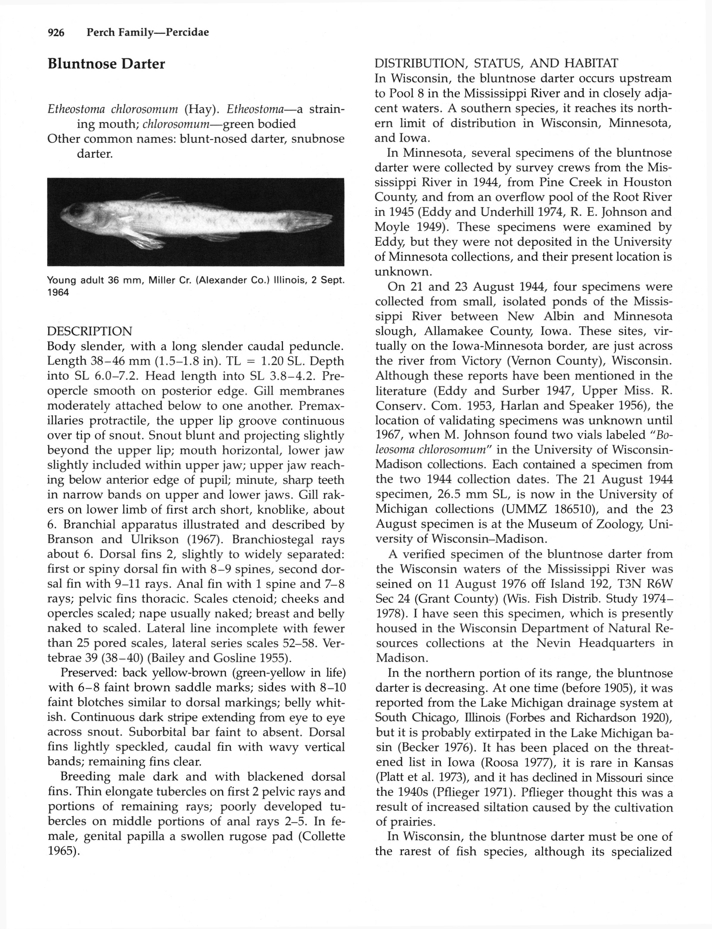 Fishes of Wisconsin - Full view - UWDC - UW-Madison Libraries