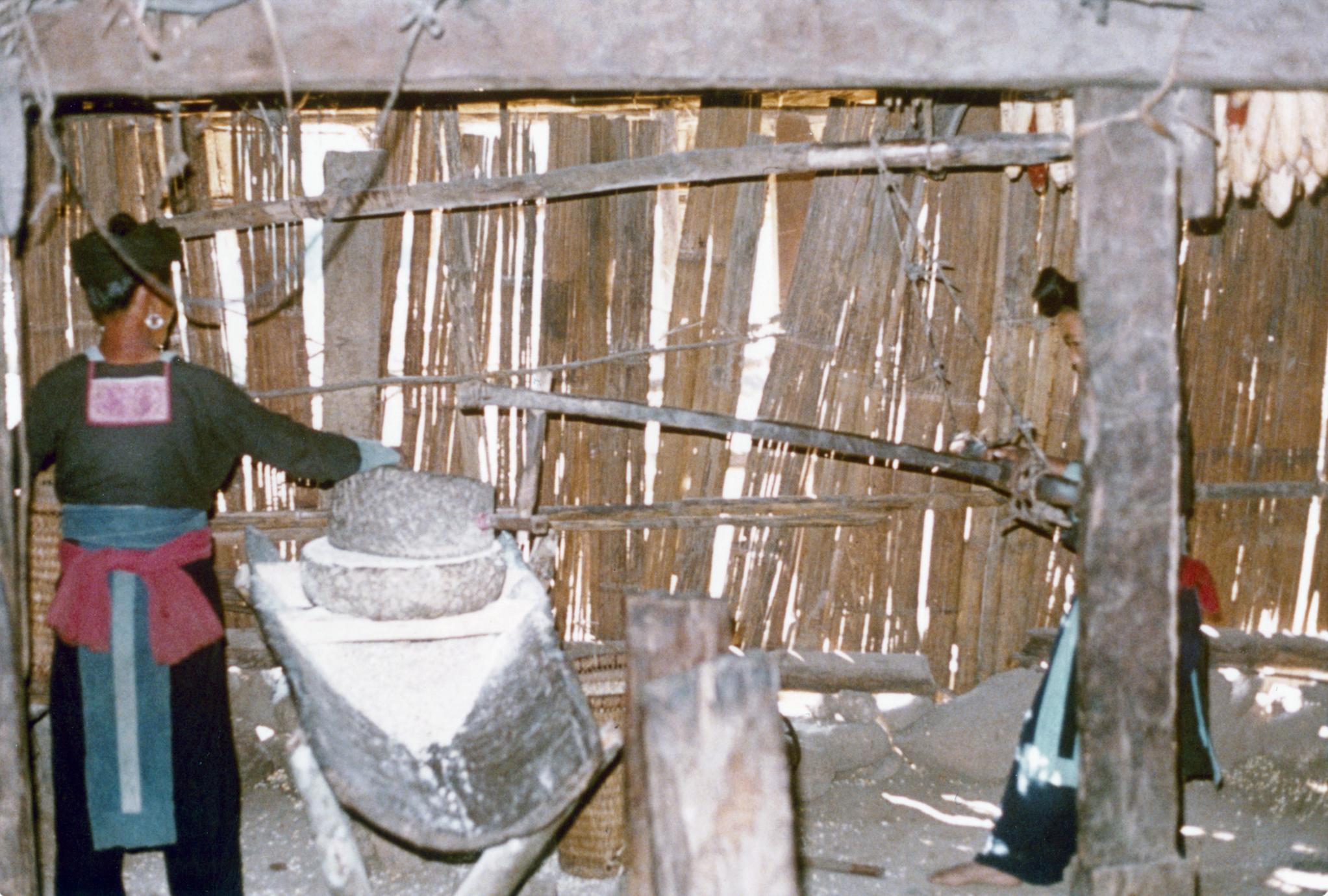 ‎Milling rice inside the home of a White Hmong family in Houa Khong ...