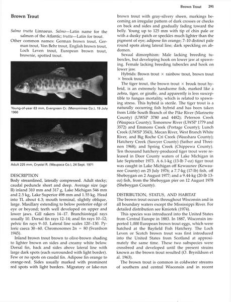 Fishes of Wisconsin - Full view - UWDC - UW-Madison Libraries